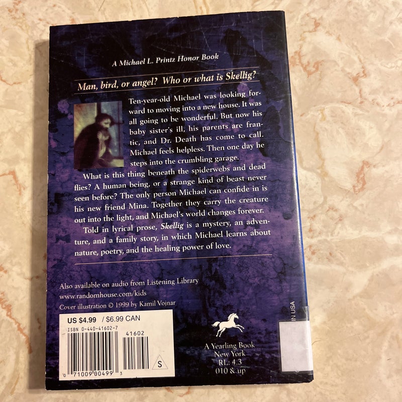 Skellig by David Almond