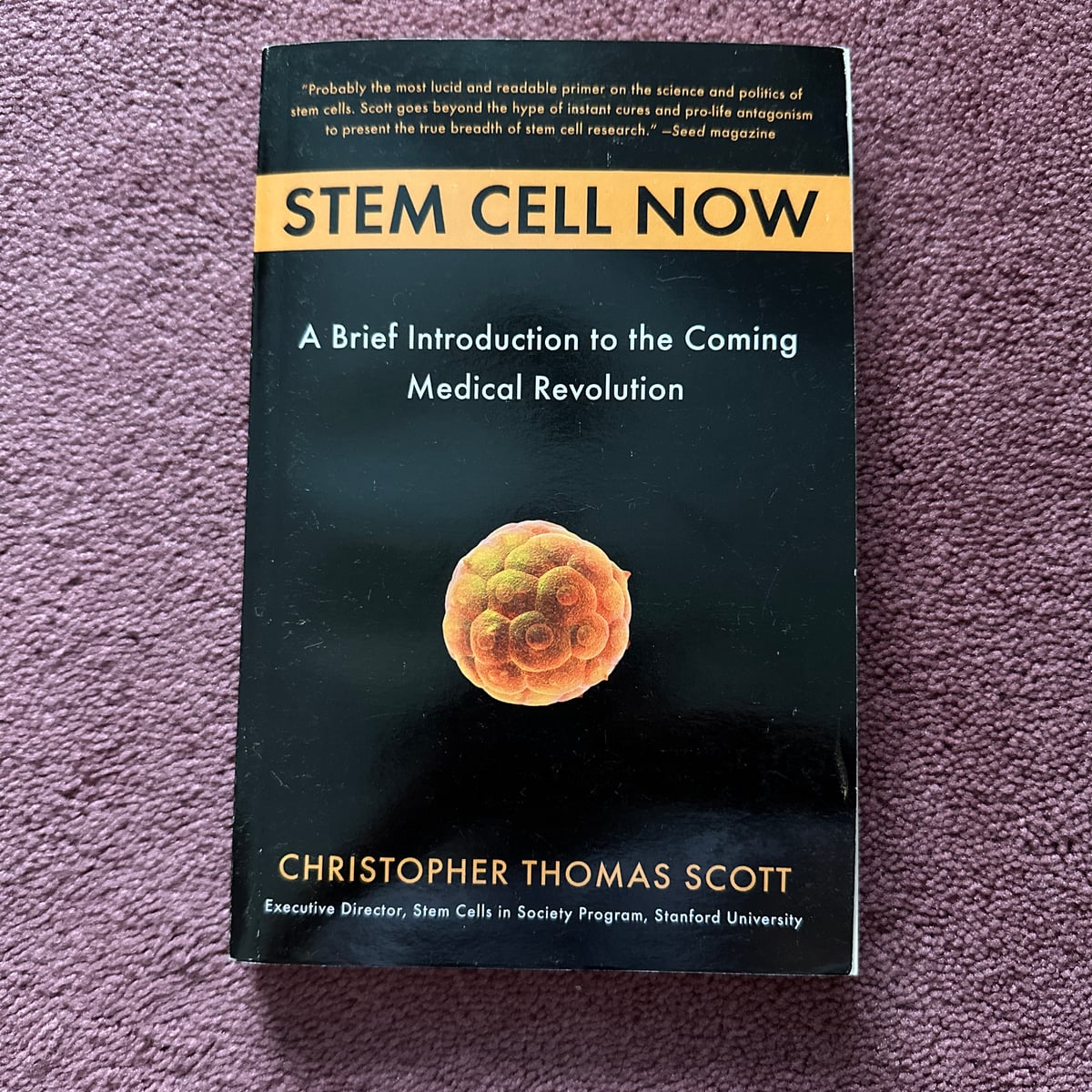 Stem Cell Now by Christopher Thomas Scott