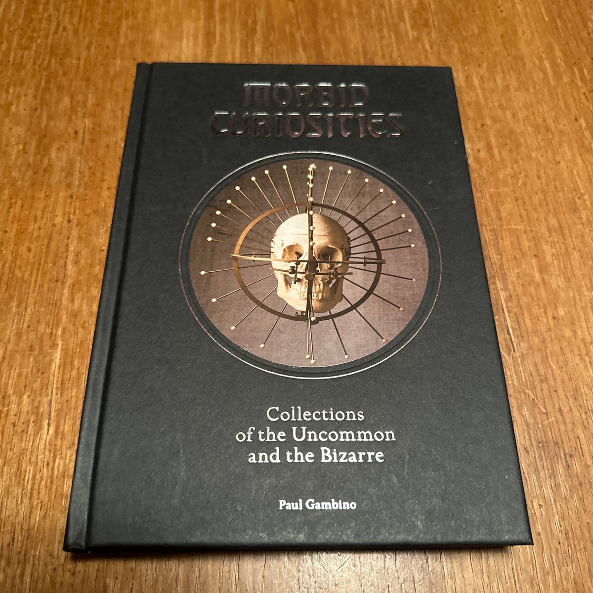 Morbid Curiosities by Paul Gambino