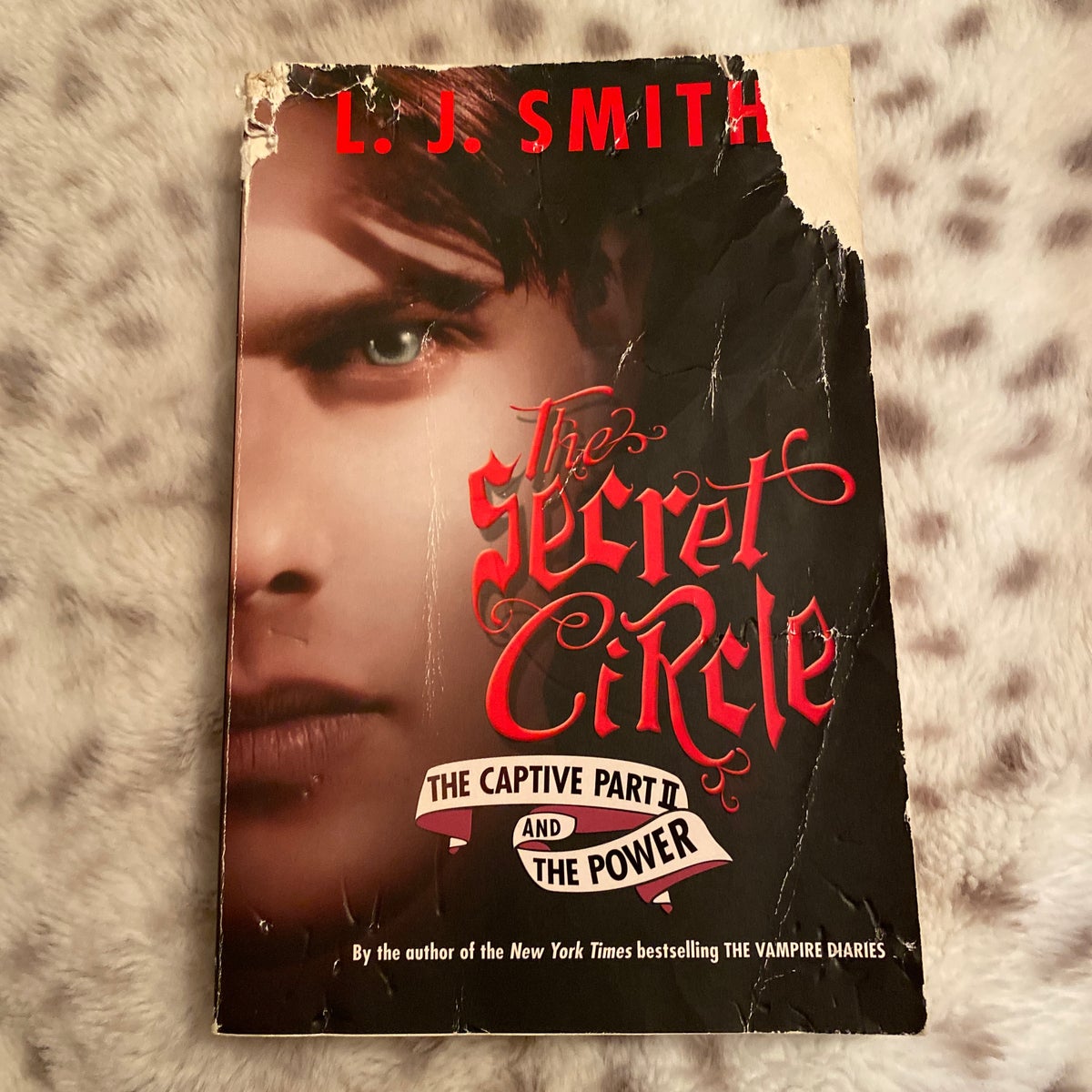 The Secret Circle: the Captive Part II and the Power by L. J. Smith