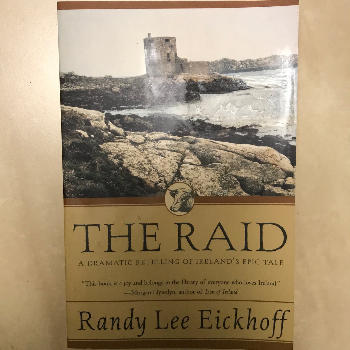 The Raid by Randy Lee Eickhoff