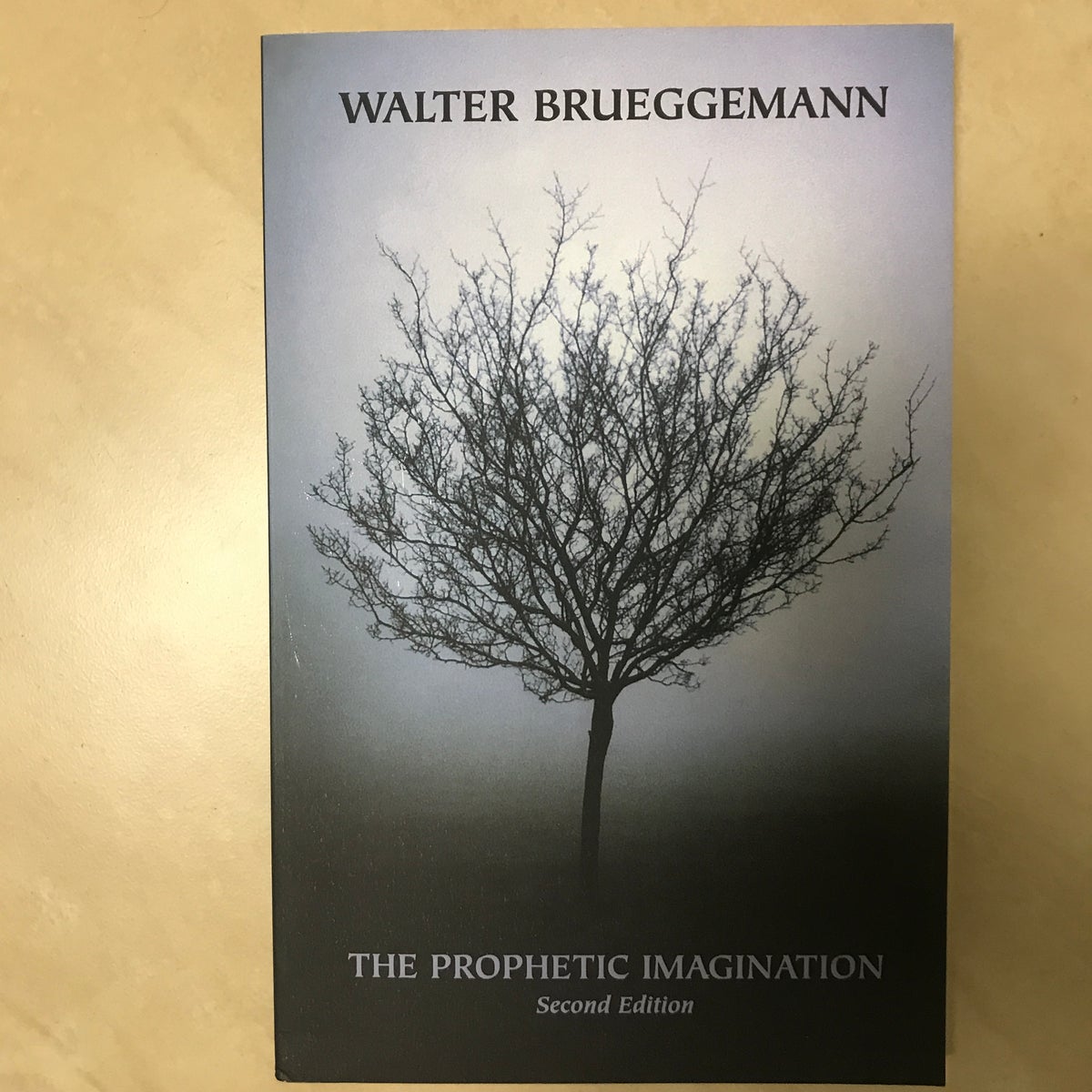 The Prophetic Imagination by Walter Brueggemann