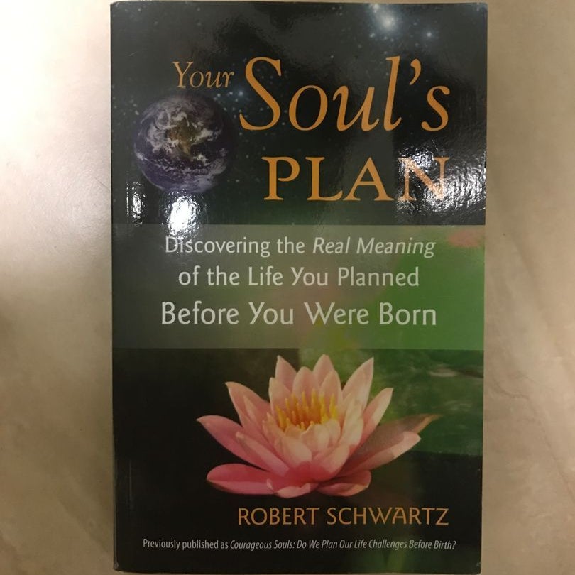 Your Soul's Plan by Robert Schwartz