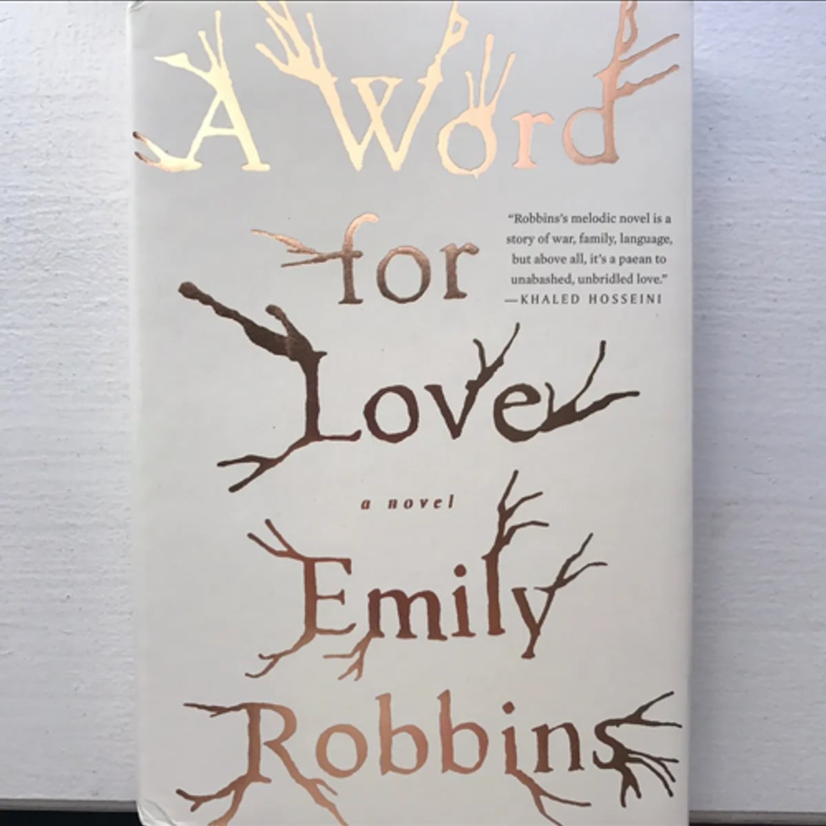 A Word for Love by Emily Robbins, Hardcover | Pangobooks