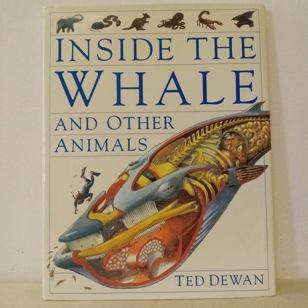 Inside the Whale and Other Animals by Ted Dewan