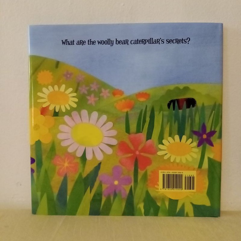 The Secret Life of the Woolly Bear Caterpillar by Laurence Pringle