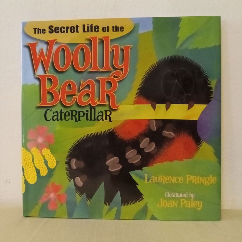 The Secret Life of the Woolly Bear Caterpillar by Laurence Pringle