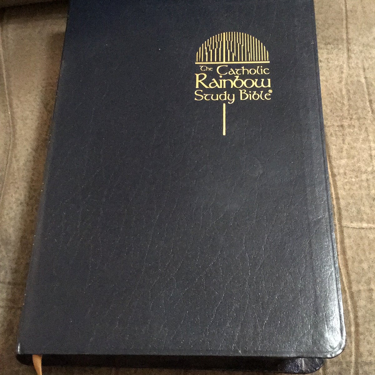 Catholic Rainbow Study Bible by