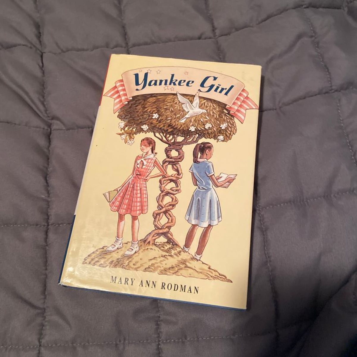 Yankee Girl by Mary Ann Rodman