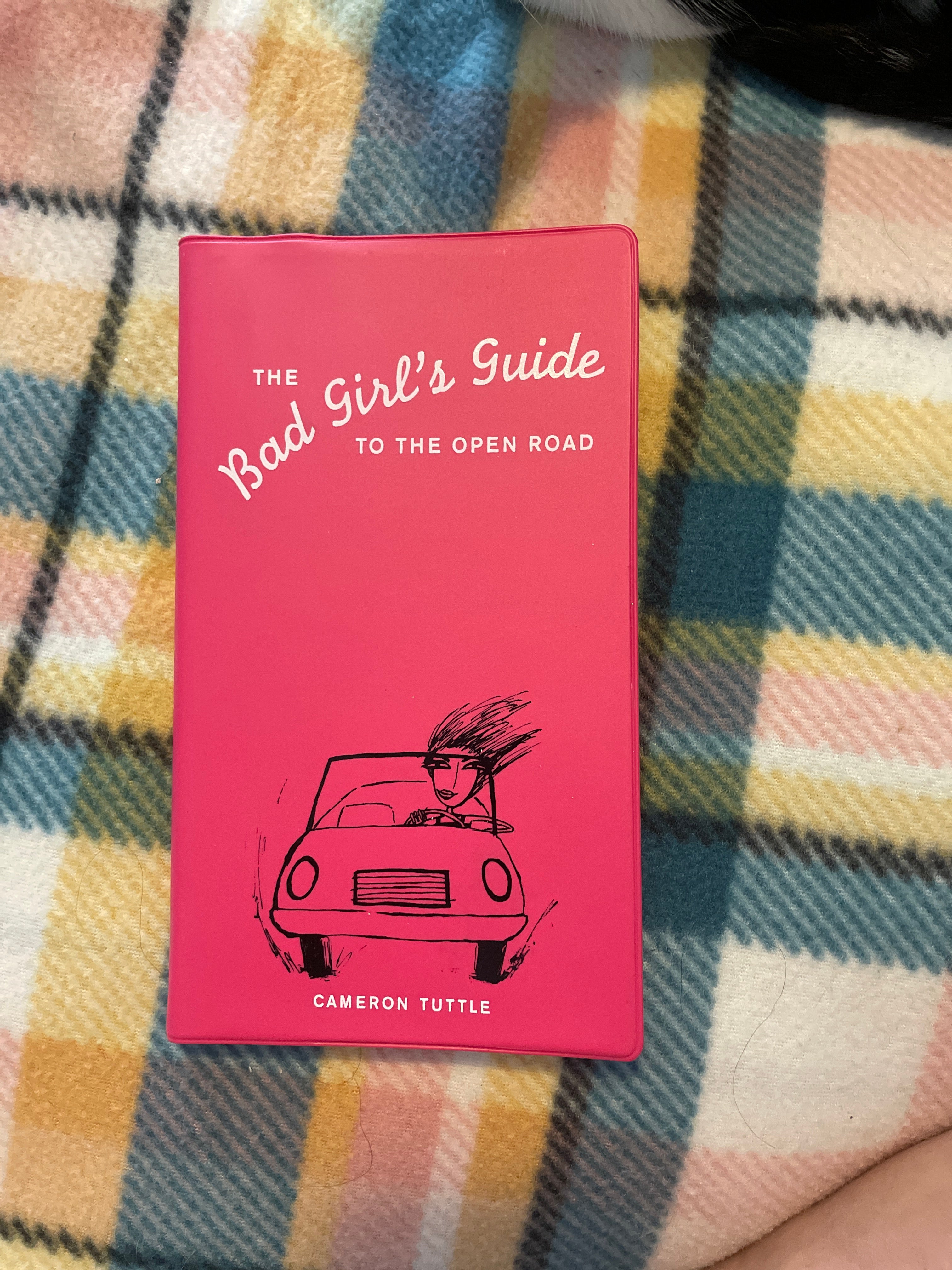 The Bad Girl's Guide to the Open Road by Cameron Tuttle
