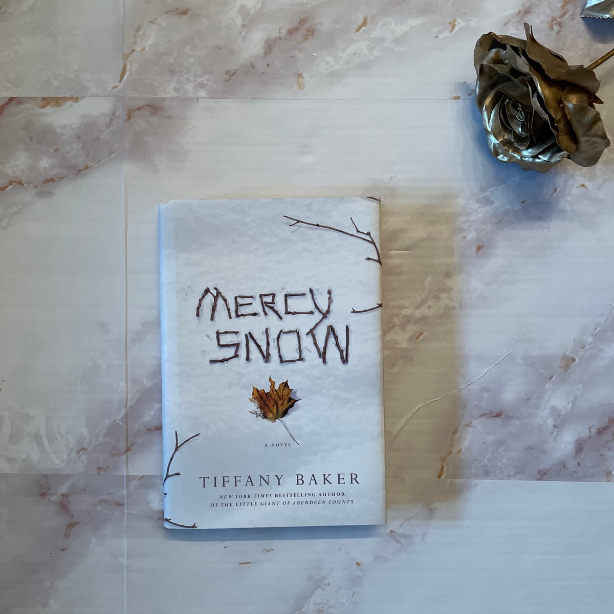 Mercy Snow by Tiffany Baker, Hardcover | Pangobooks