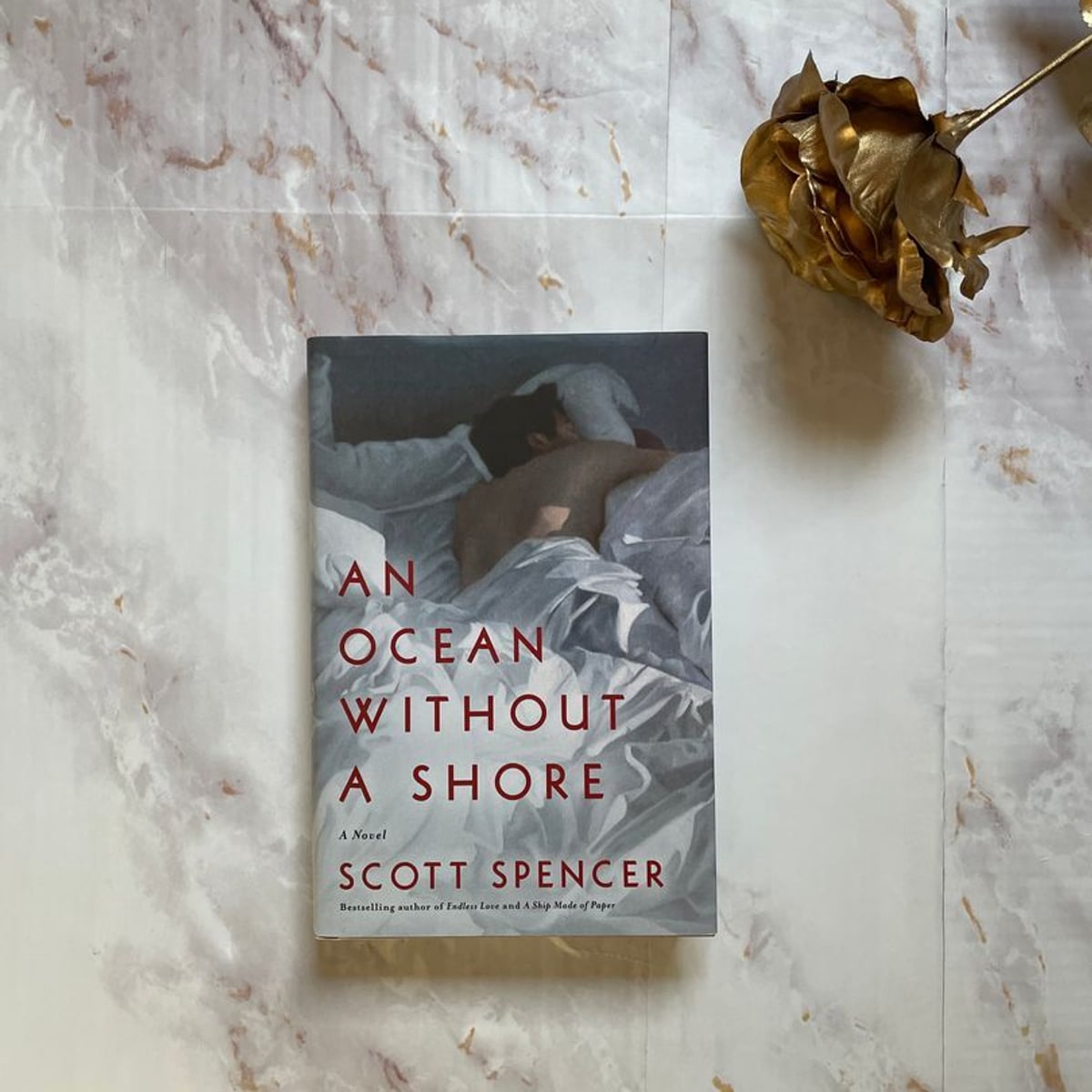 An Ocean Without a Shore by Scott Spencer
