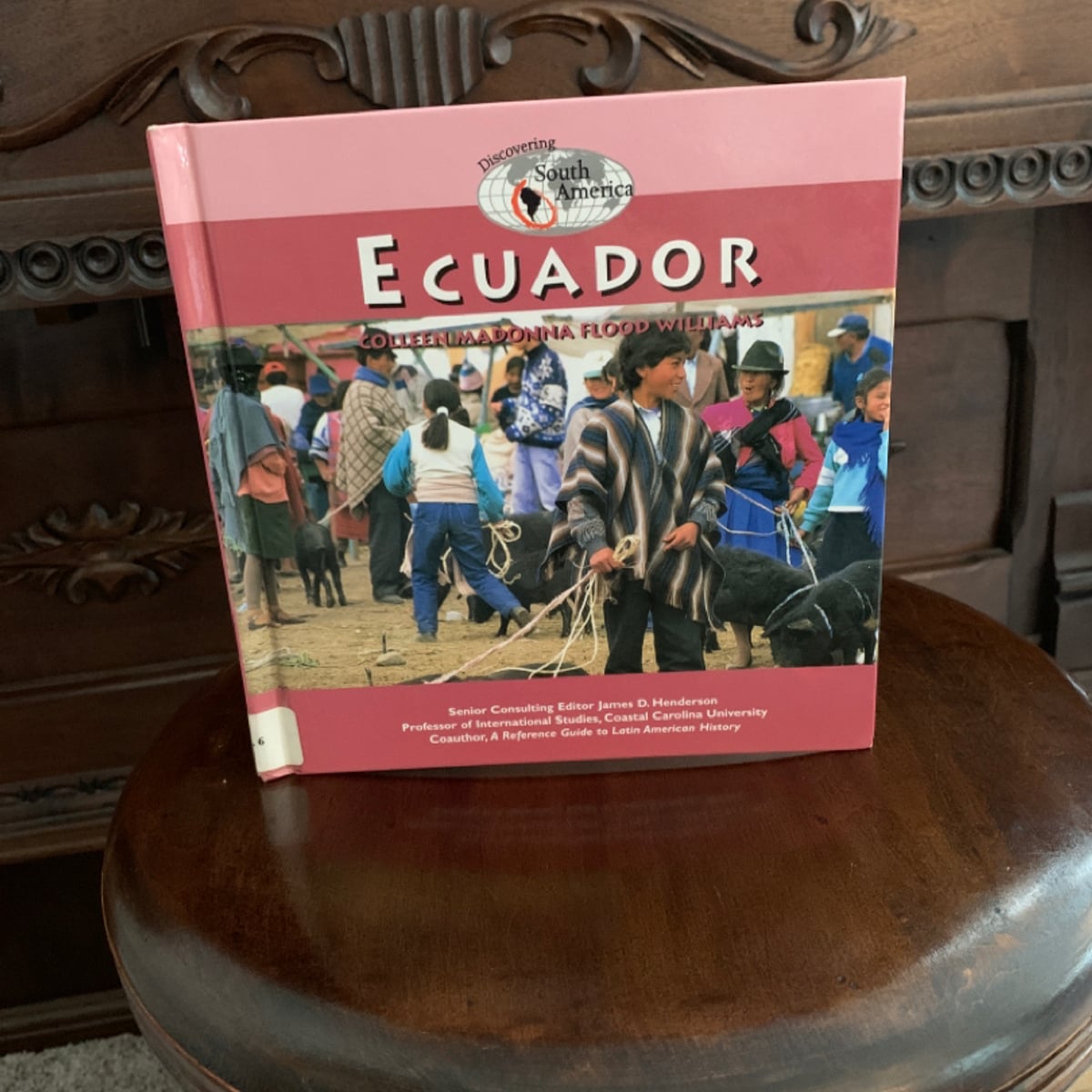 Ecuador by Colleen Madonna Flood Williams