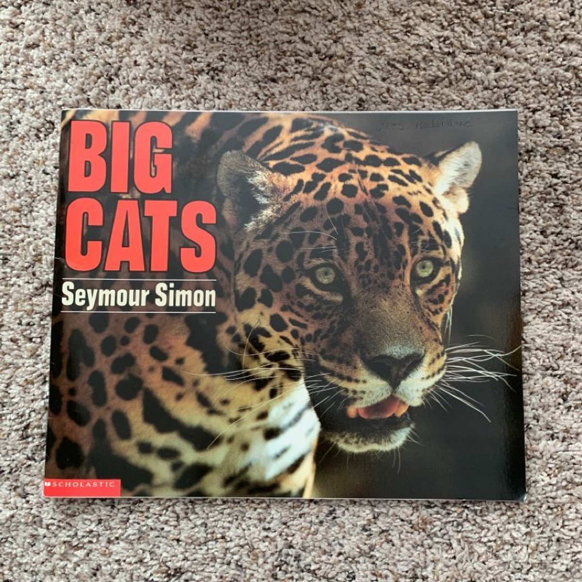Big Bugs by Seymour Simon