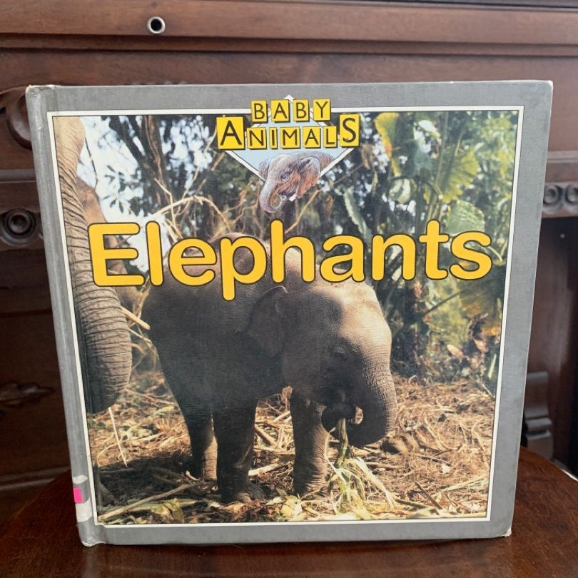 Elephants by Kate Petty