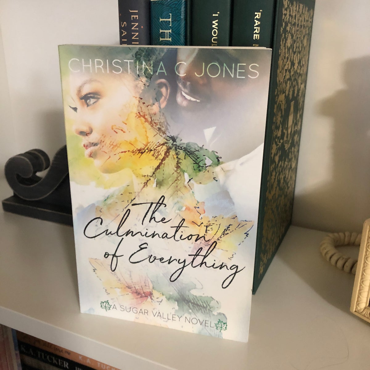 The Culmination of Everything by Christina C. Jones