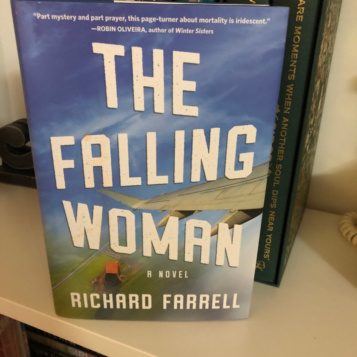The Falling Woman by Richard Farrell