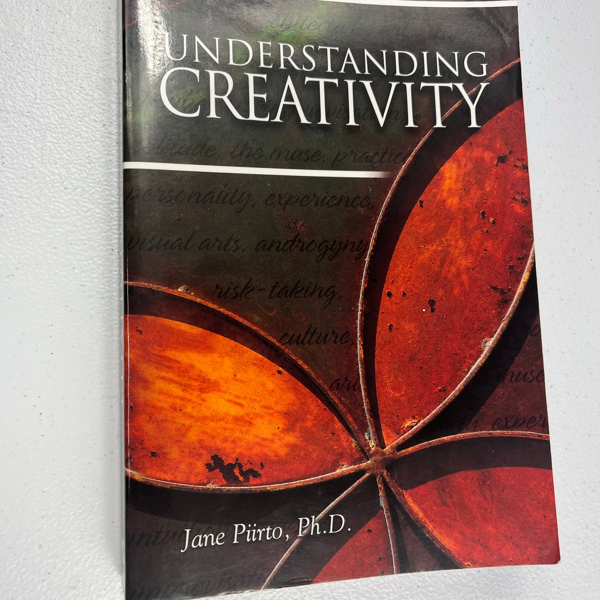 Understanding Creativity by Jane Piirto, Paperback | Pangobooks