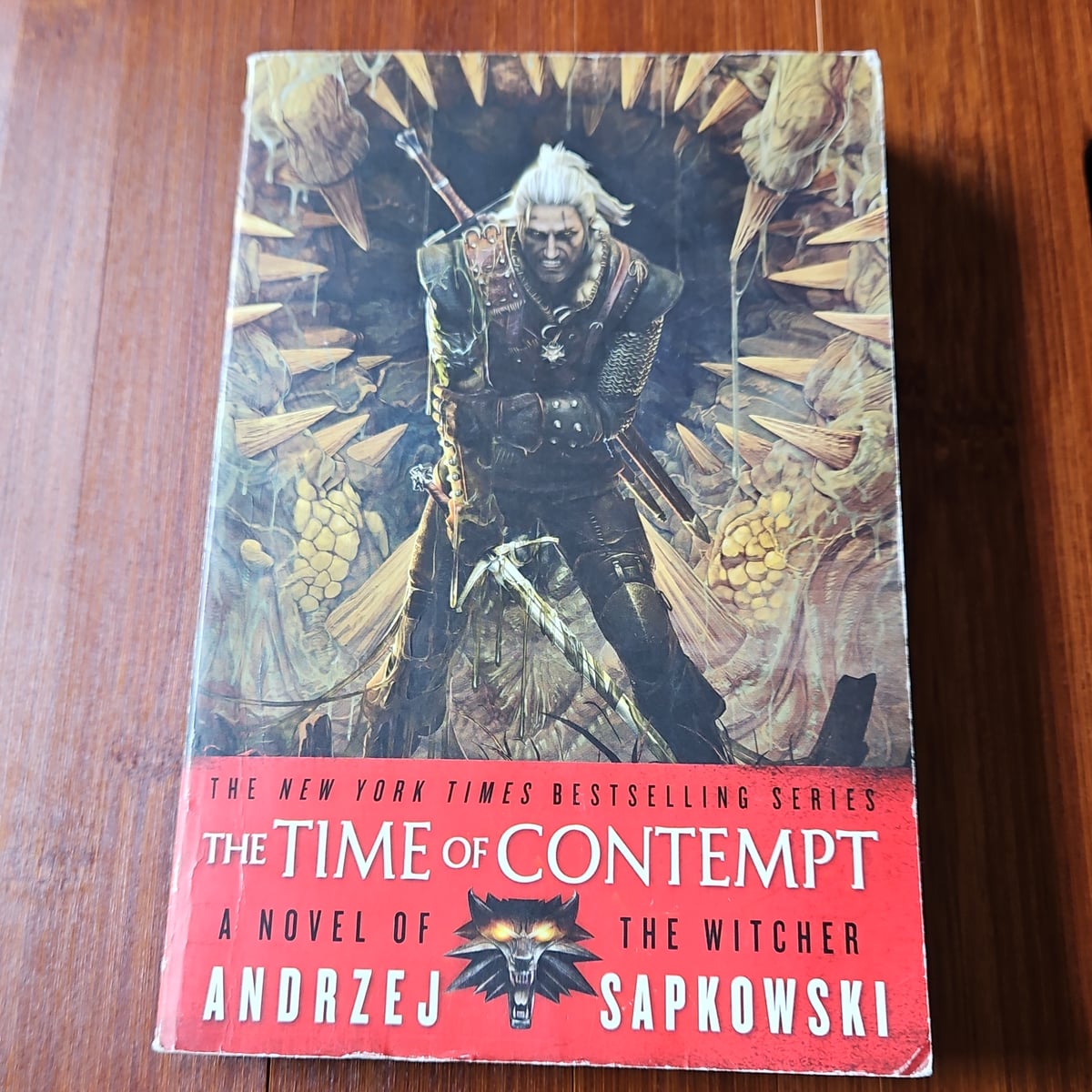 The Time of Contempt by Andrzej Sapkowski, David French