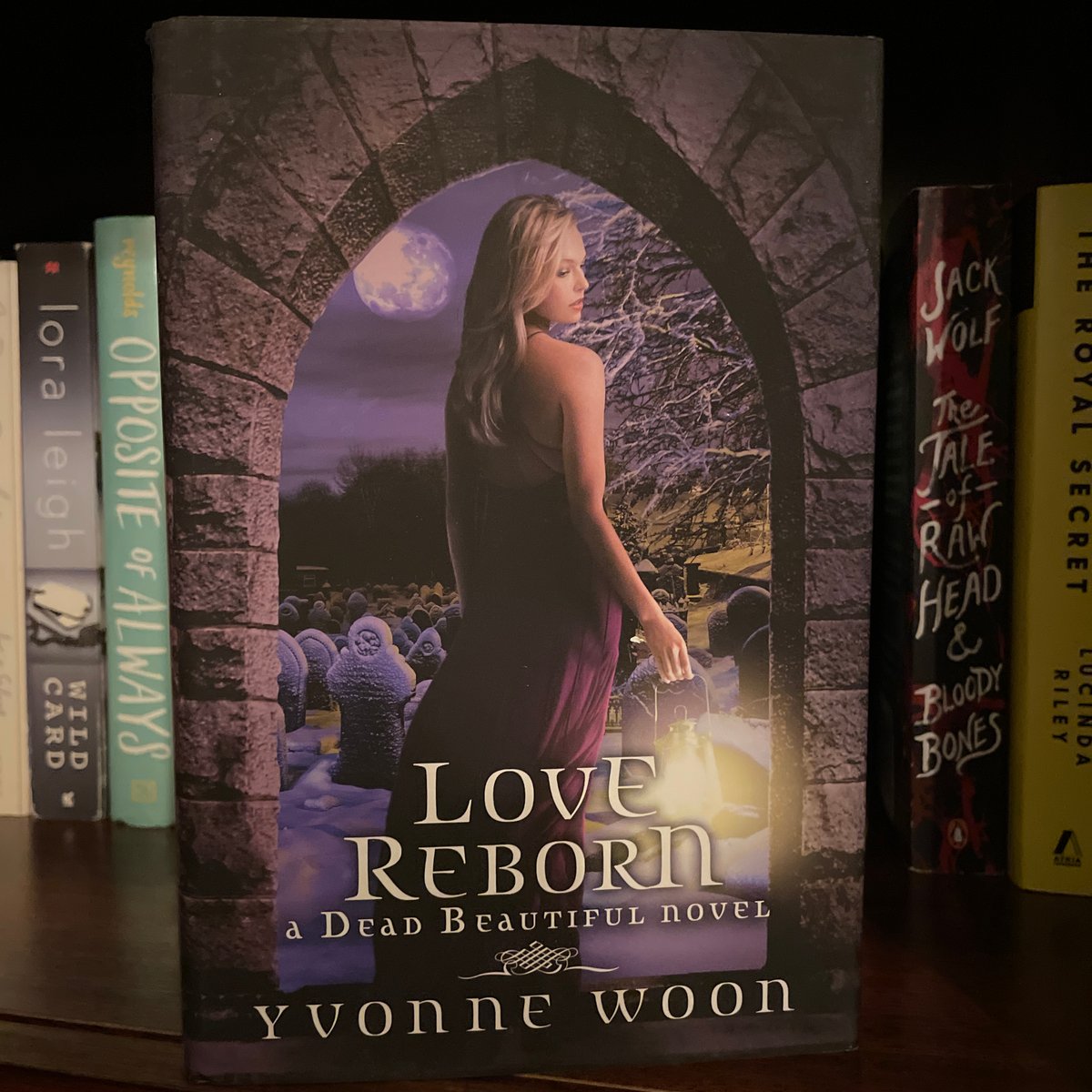 Love Reborn by Yvonne Woon