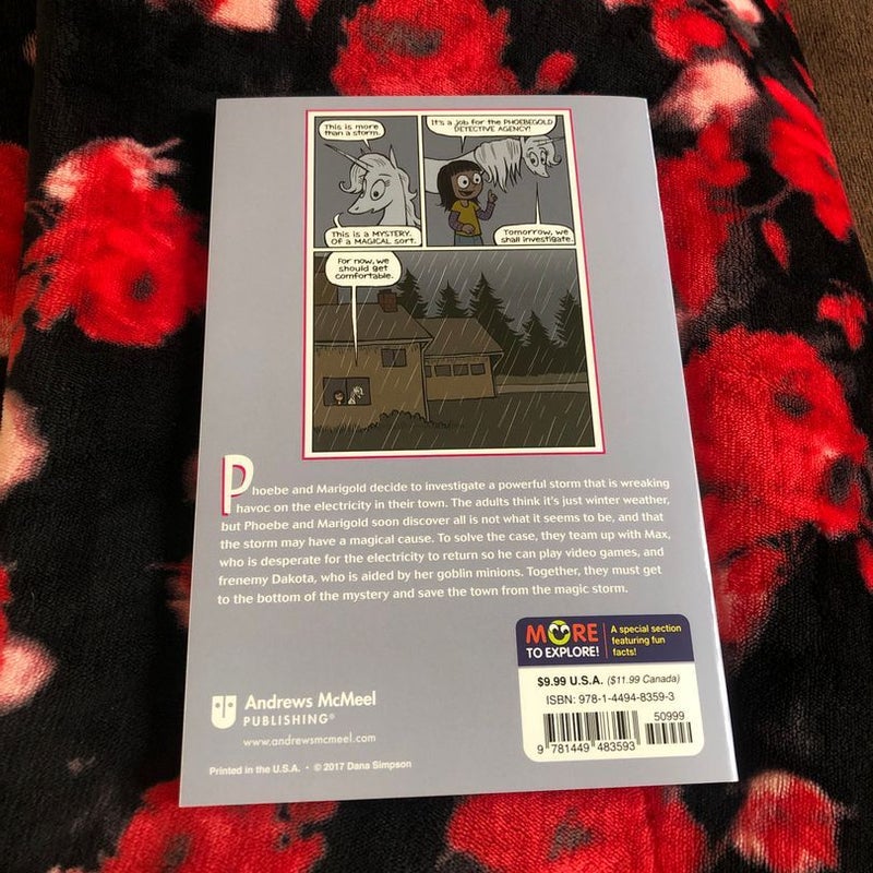 Phoebe and Her Unicorn in the Magic Storm