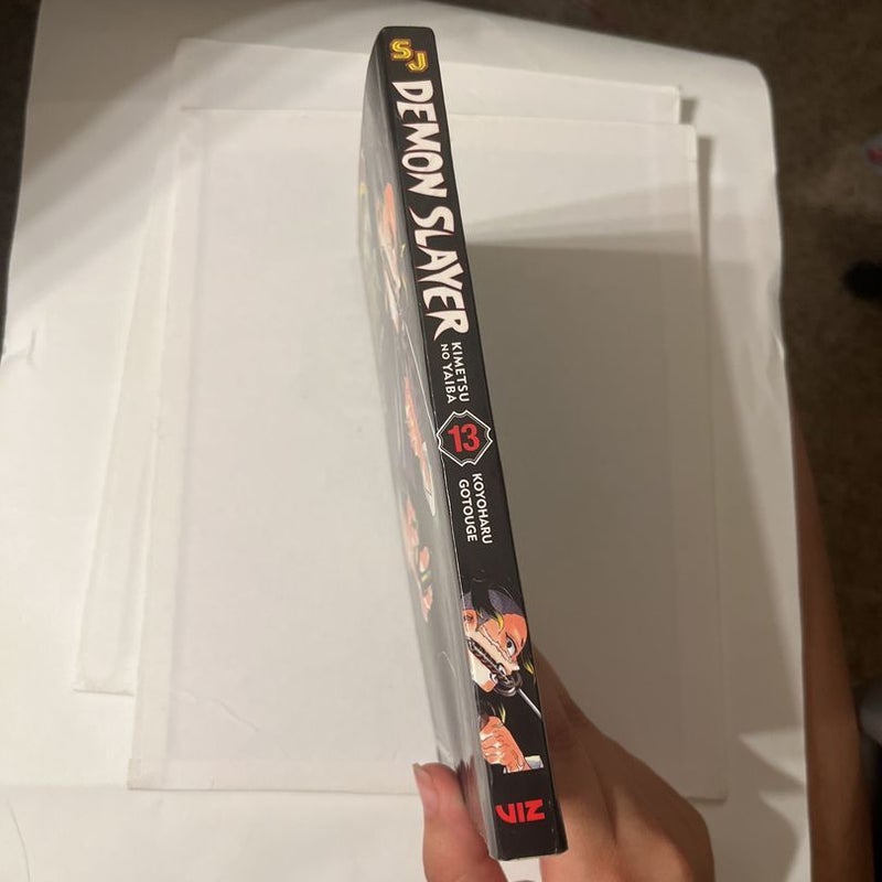 Demon Slayer: Kimetsu No Yaiba, Vol. 13