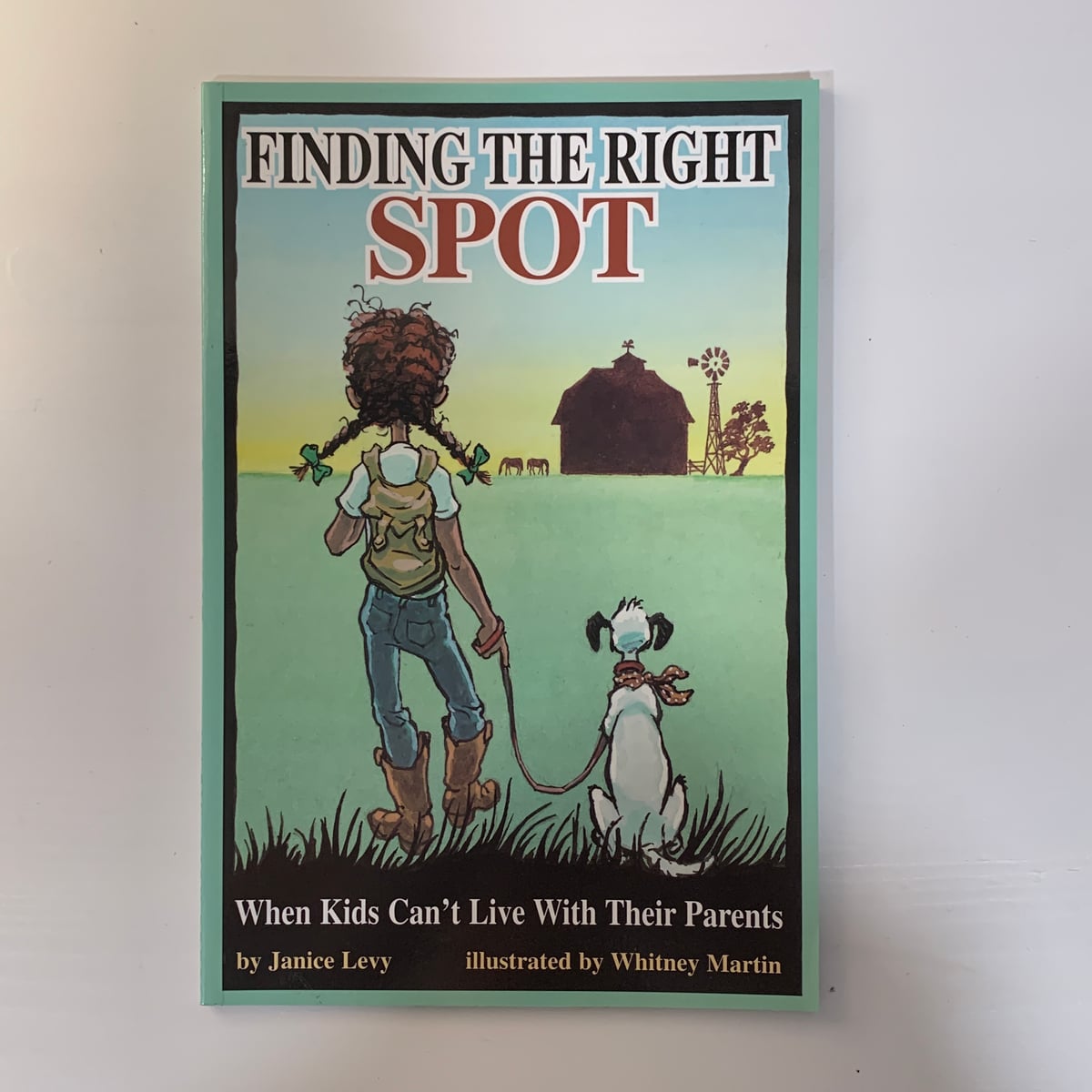 Finding the Right Spot by Janice Levy