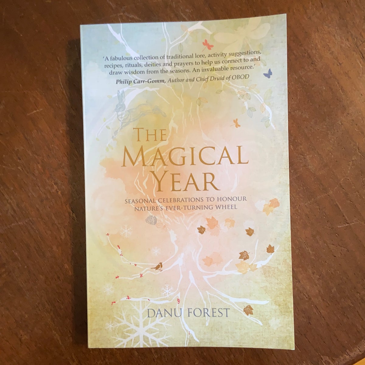 The Magical Year by Danu Forest