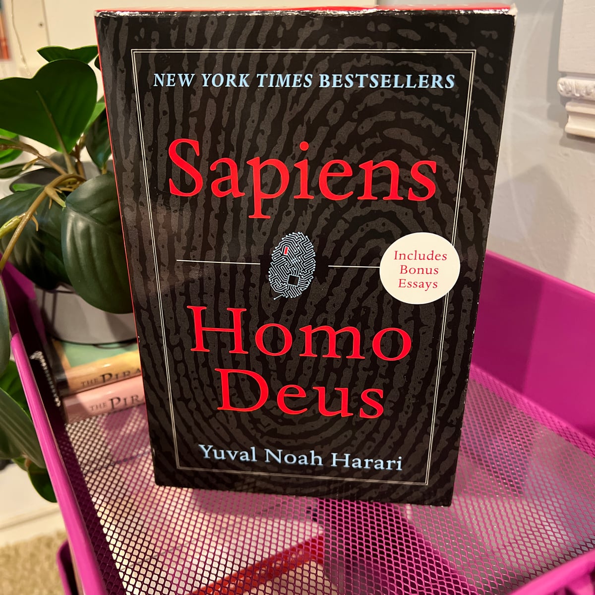 Sapiens & Homo Deus Box Set by Tubal Noah Harari, Paperback | Pangobooks