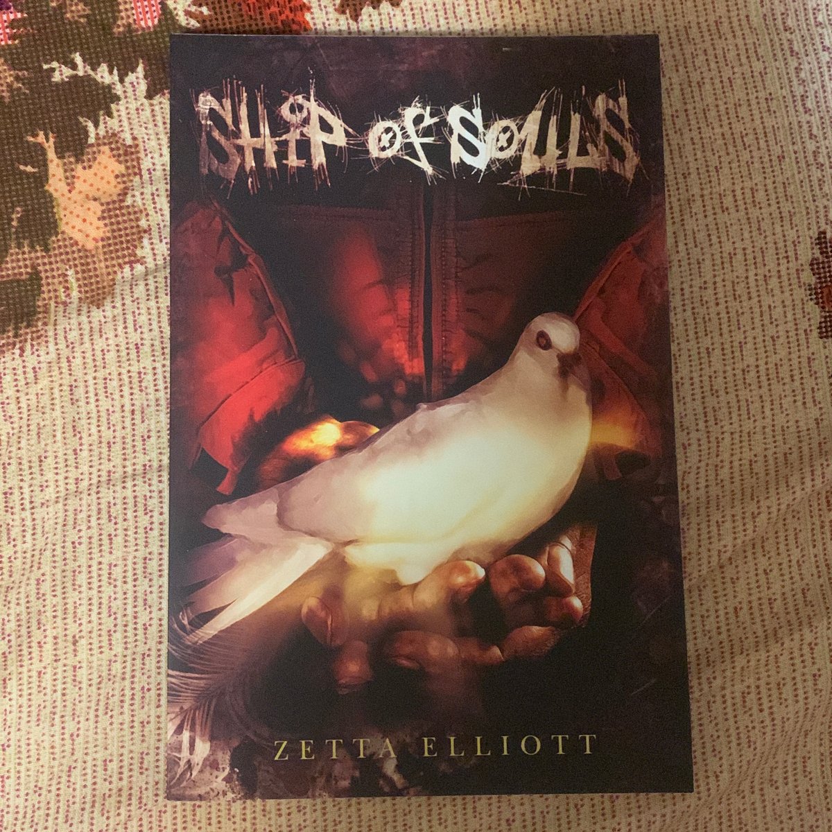 Ship of Souls by Zetta Elliott