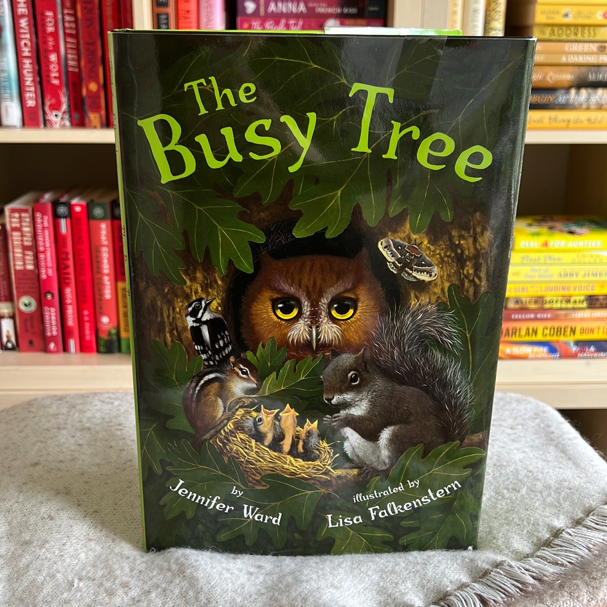 The Busy Tree by Jennifer Ward
