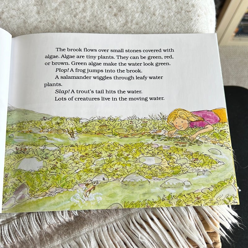 Follow the Water from Brook to Ocean by Arthur Dorros