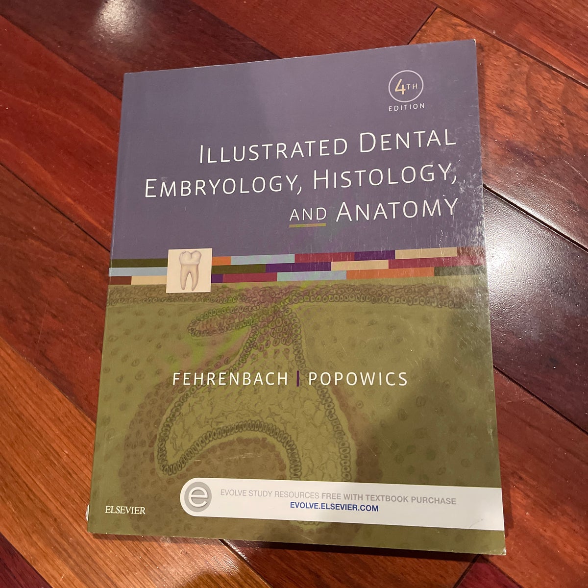 Illustrated Dental Embryology, Histology, and Anatomy