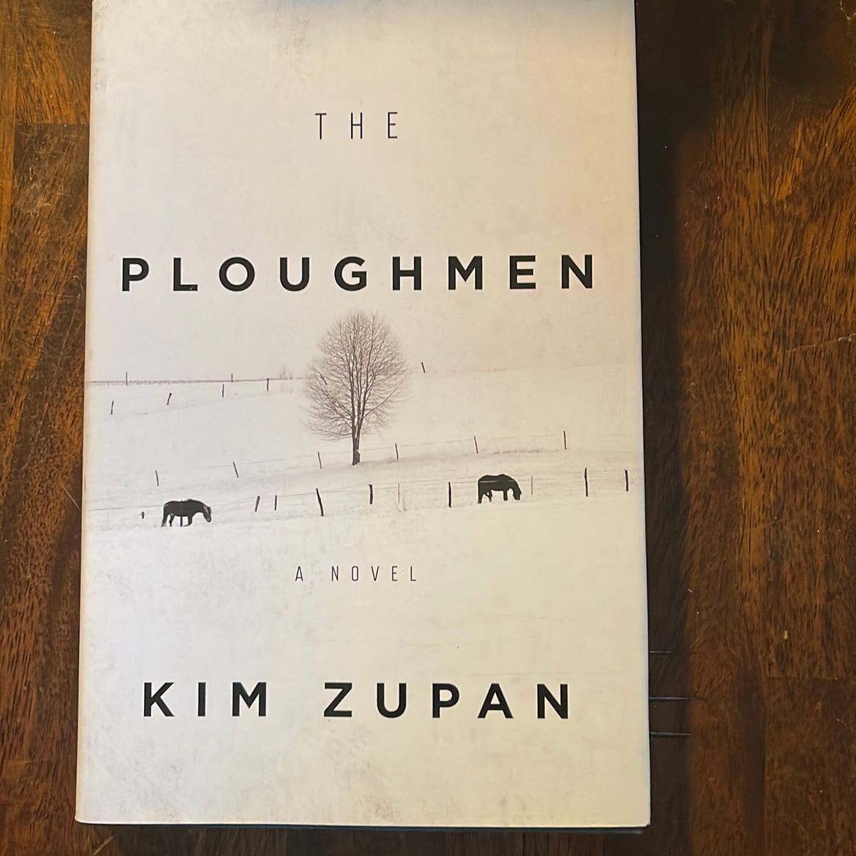 The Ploughmen by Kim J. Zupan