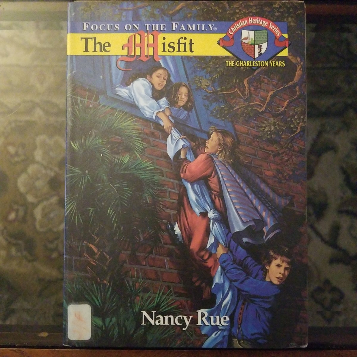 The Misfit by Nancy N. Rue, Paperback | Pangobooks