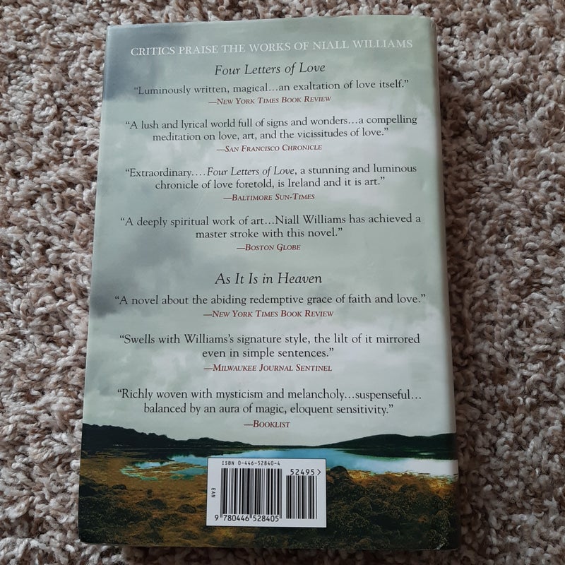 The Fall of Light by Niall Williams