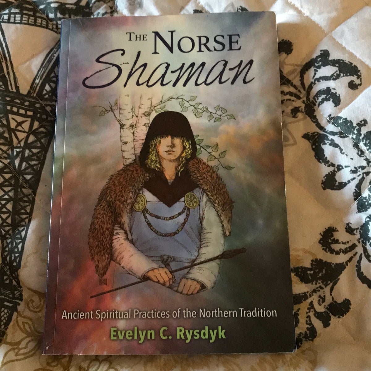 The Norse Shaman by Evelyn C. Rysdyk | Pangobooks
