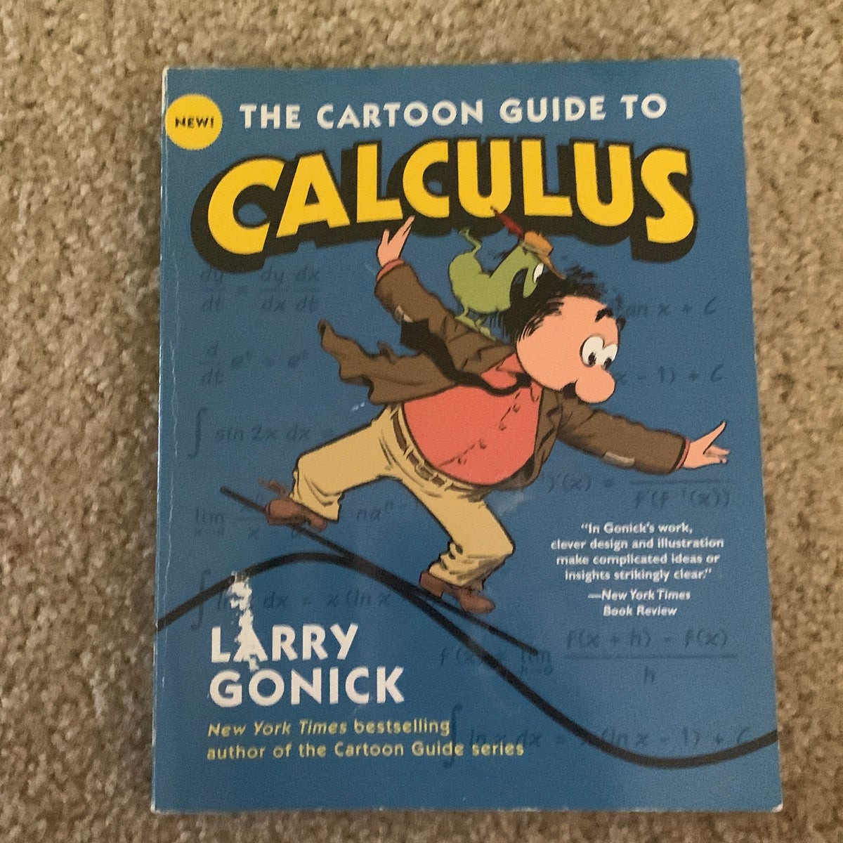 The Cartoon Guide to Calculus by Larry Gonick, Paperback | Pangobooks