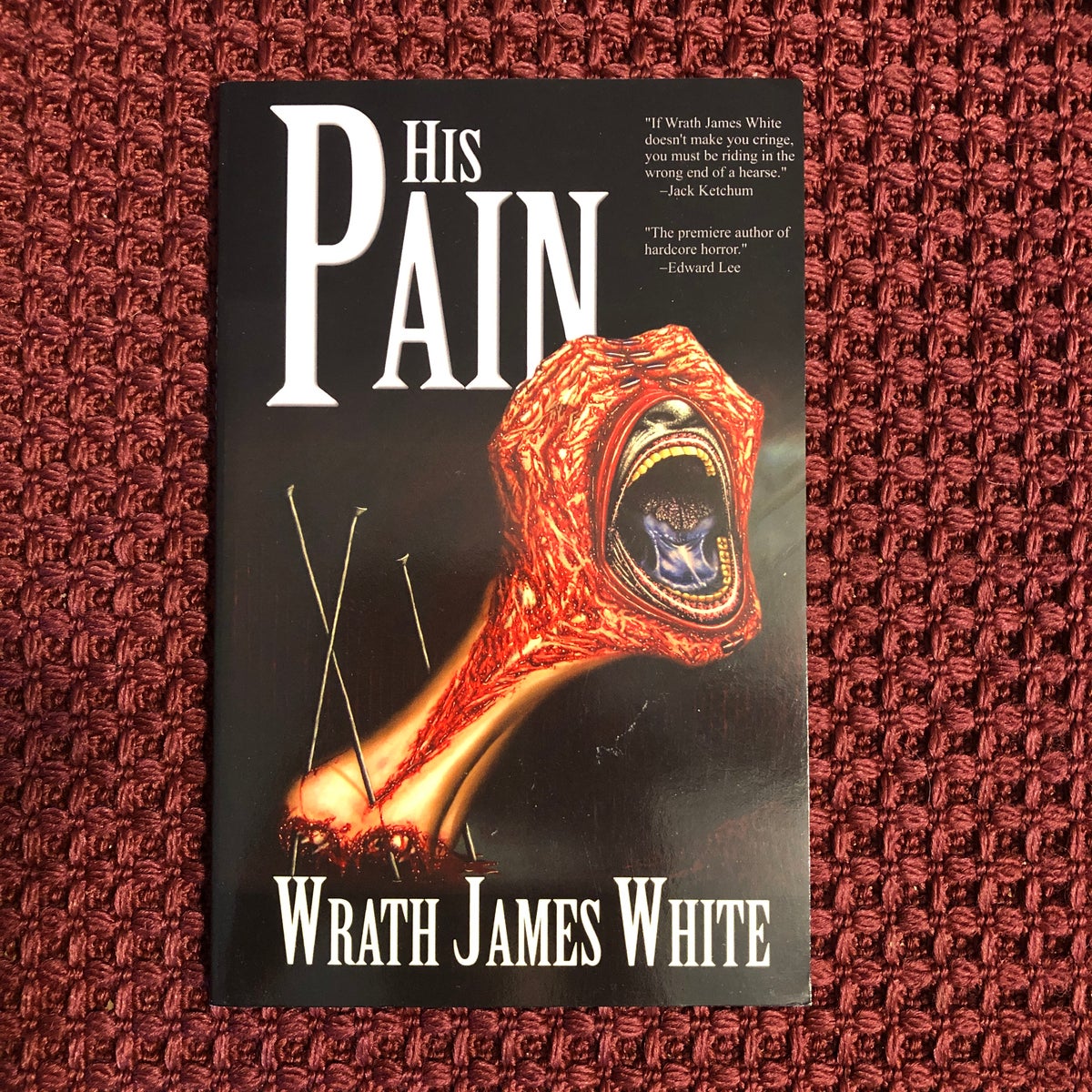 His Pain by Wrath James White