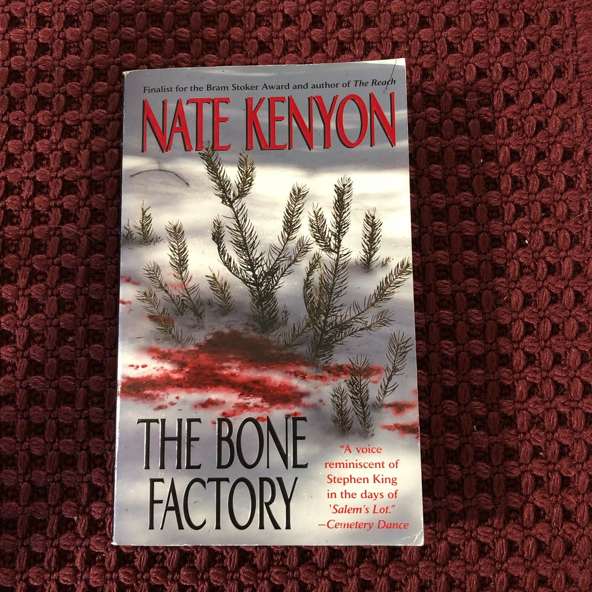 The Bone Factory by Nate Kenyon