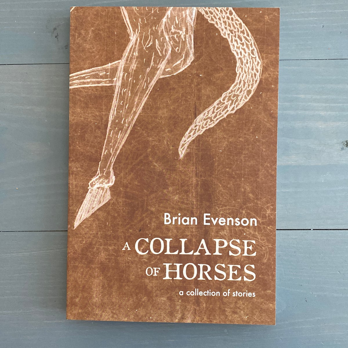 A Collapse of Horses by Brian Evenson