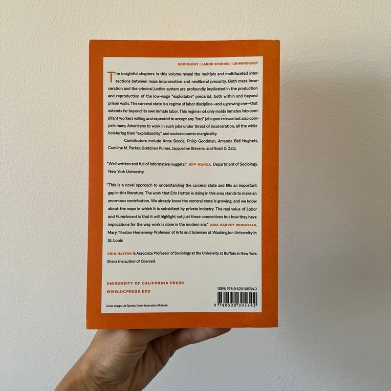 Labor and Punishment by Erin Hatton, Paperback | Pangobooks