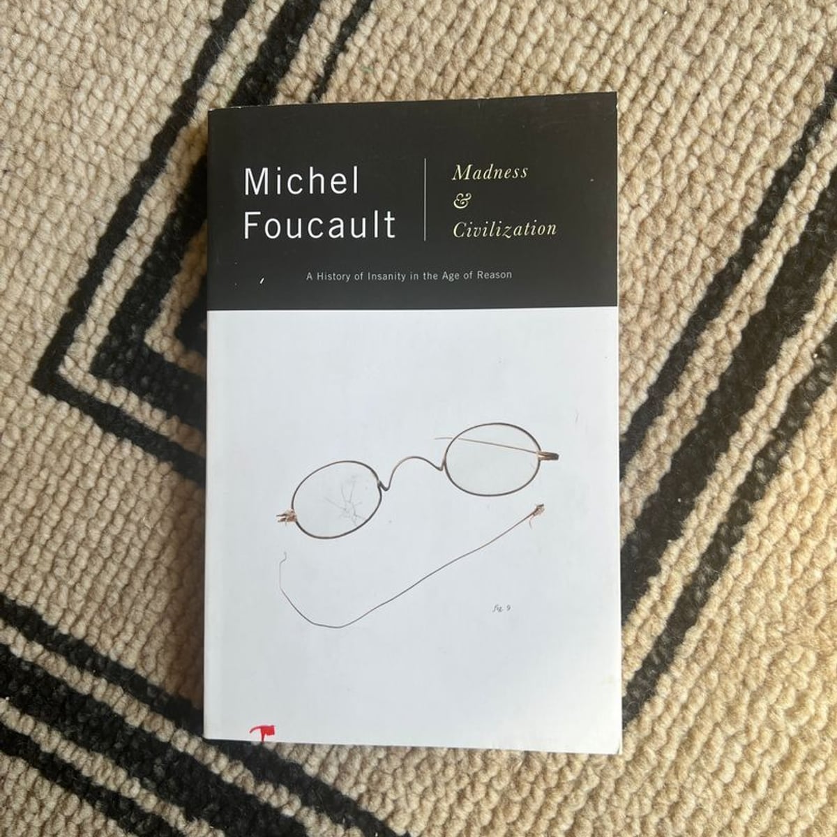 Madness and Civilization by Michel Foucault, Paperback | Pango Books