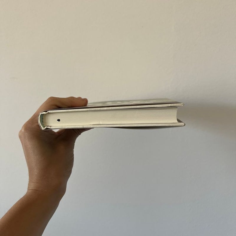 We Built the Wall by Eileen Truax, Hardcover | Pangobooks