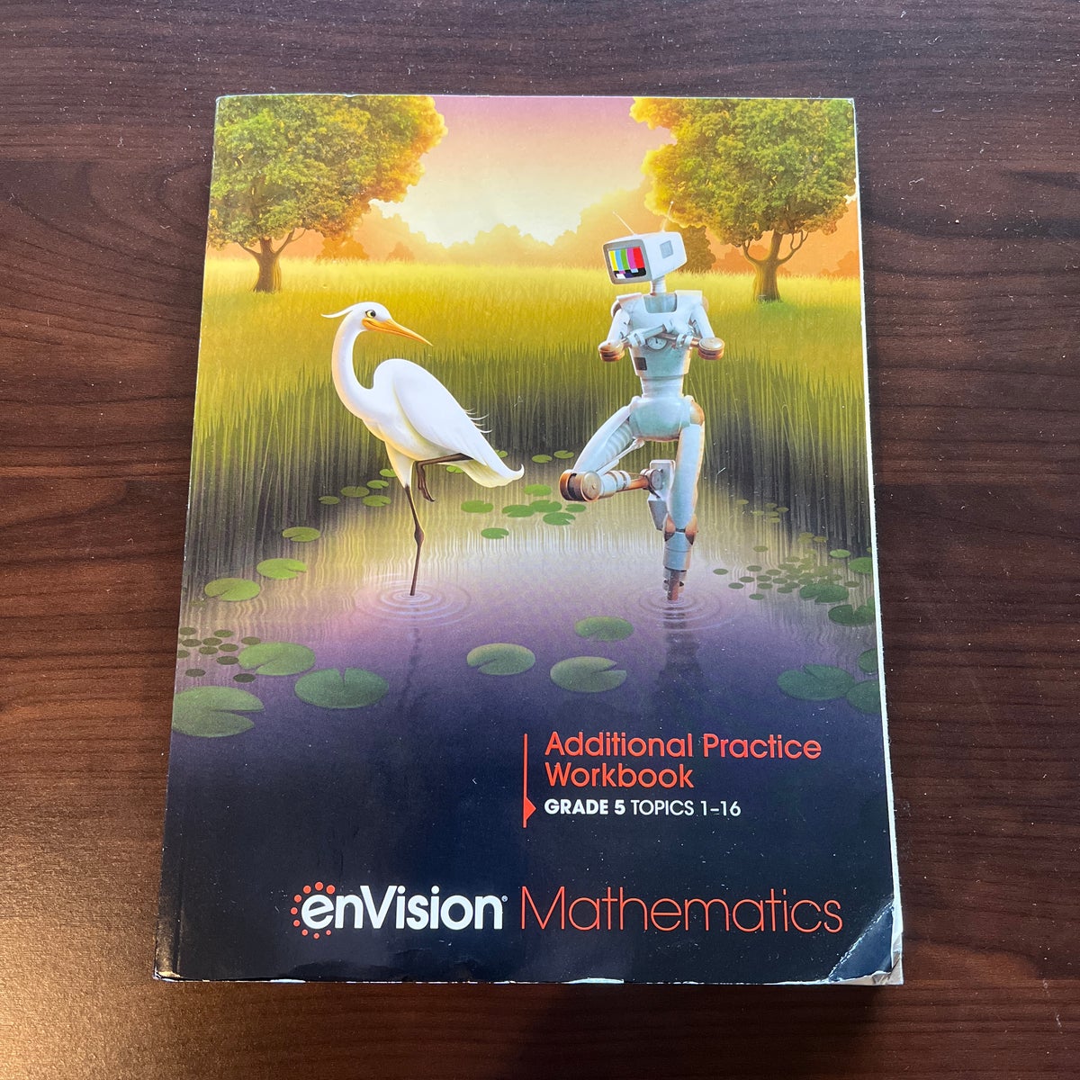 Envision Mathematics 2020 Additional Practice Workbook Grade 5 by Scott Foresman