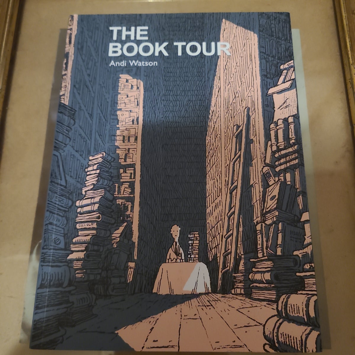 The Book Tour by Andi Watson