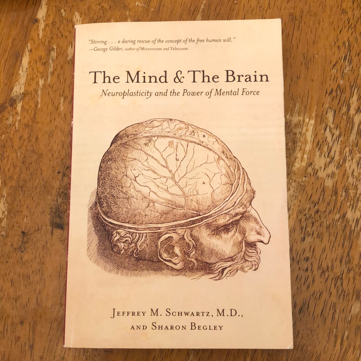 The Mind and the Brain