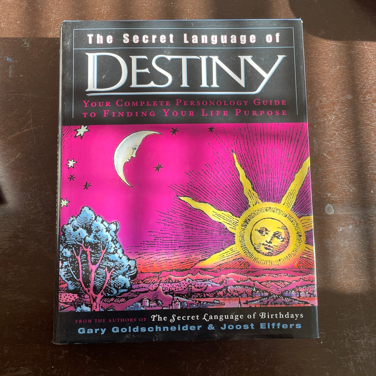 The Secret Language of Destiny by Gary Goldschneider, Joost Elffers