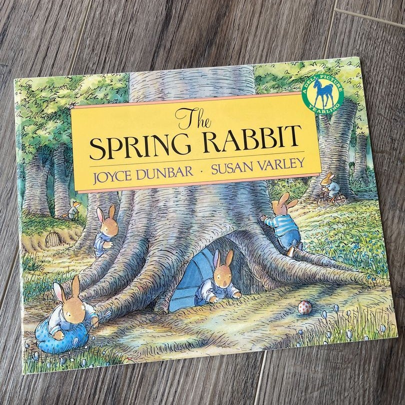 The Spring Rabbit by Joyce Dunbar