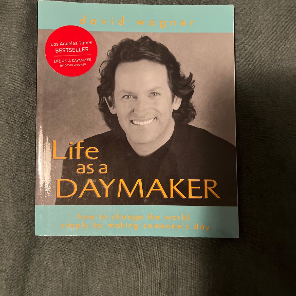 Life As a Daymaker by David Wagner